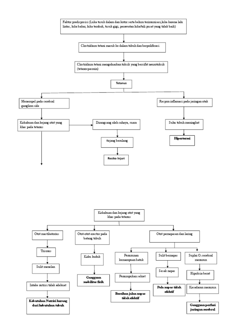 Pathway Tetanus | PDF