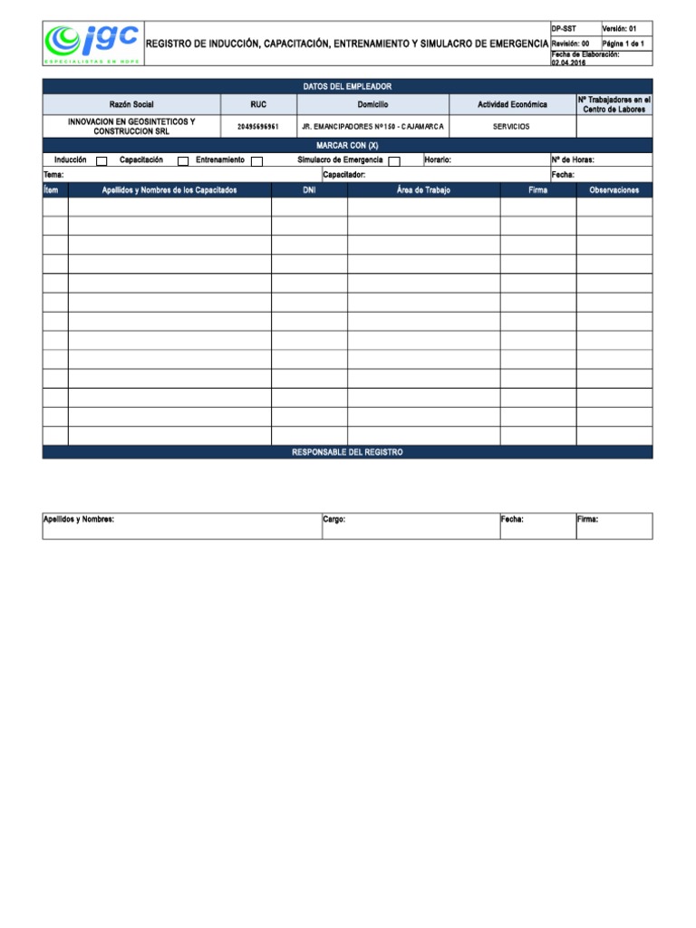 Formato Reporte Diario | PDF