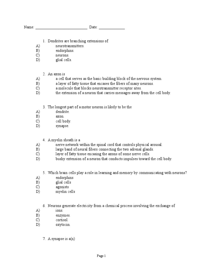 Anatomy and Physiology of the Nervous System: A 15-Question Multiple ...
