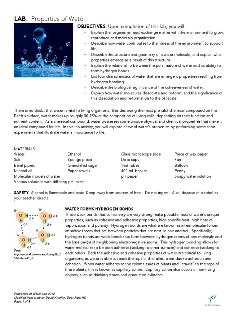 Properties of Water Lab Overview | PDF | Hydroxide | Ph