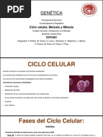 Flora Residente, Flora Transitoria, Transmisión Cruzada y Fómites | PDF ...
