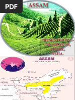 Assamese Musical Instruments | PDF | Drum | Wikipedia