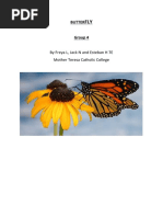 Butterfly Symmetry Activity | PDF
