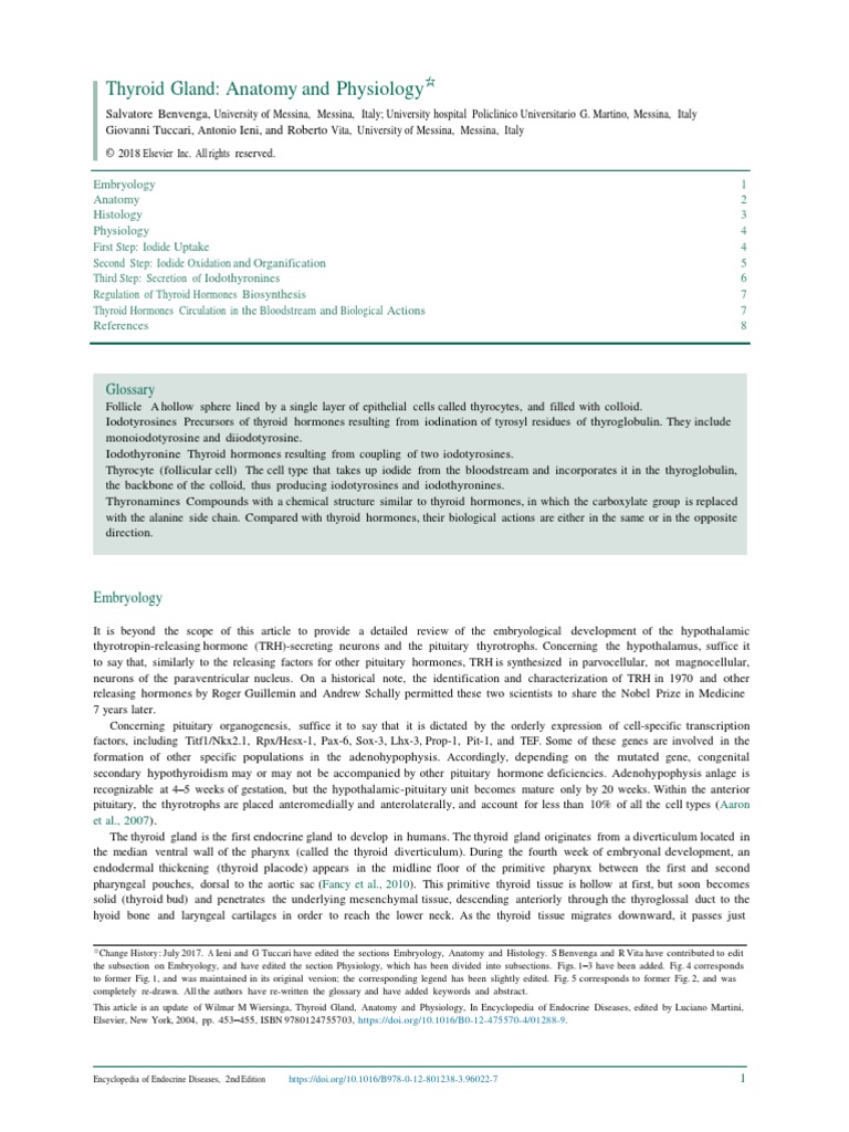 Anatomy Physiology Of Thyroid Pdf Thyroid Thyroid Stimulating Hormone