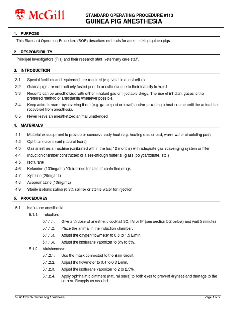 Guinea Pig Anesthesia Guide | PDF | Anesthesia | Medical Treatments