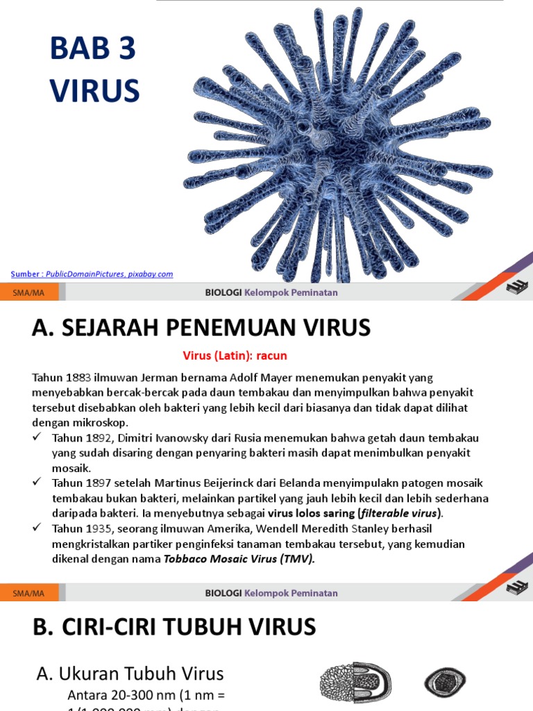 BAB 3 Virus | PDF