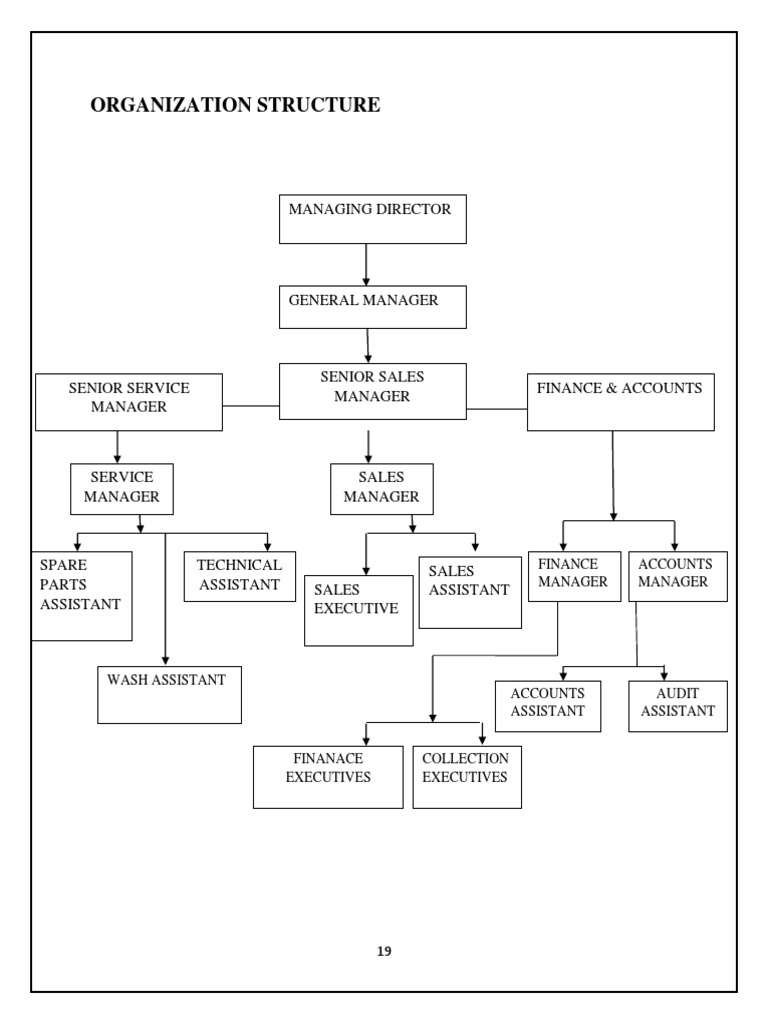 Organization Structure: Managing Director | PDF