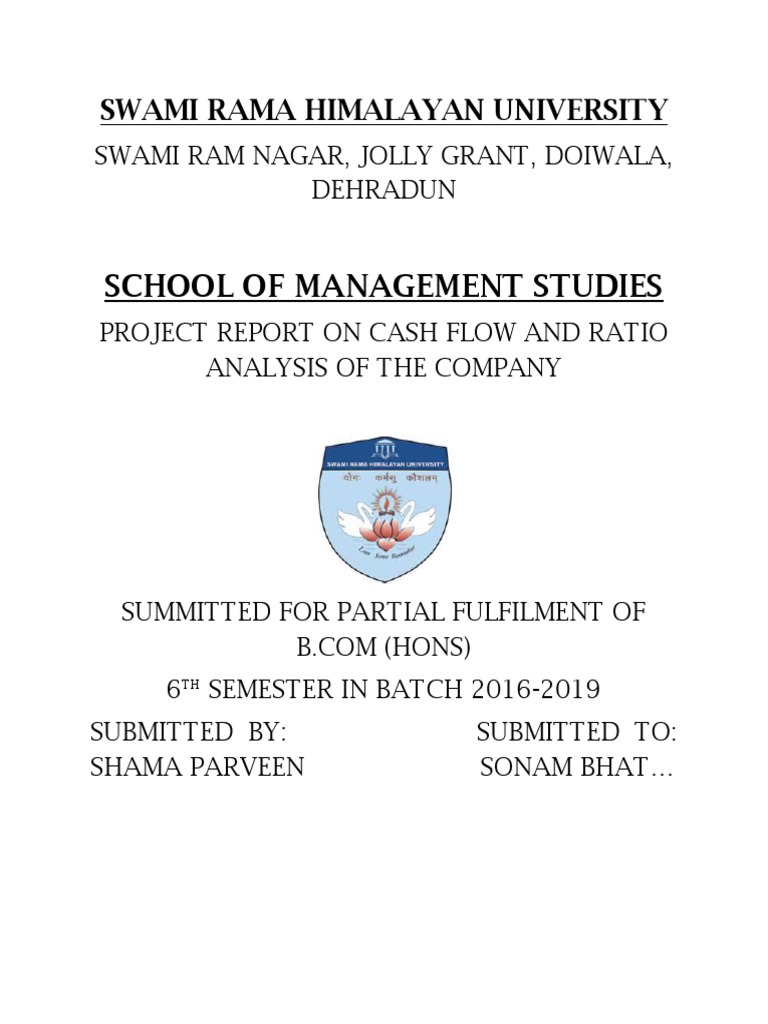 Dissertation Project Shama | PDF | Cash Flow Statement | Income Statement