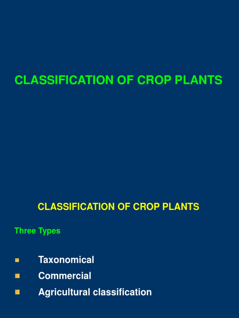 3.classification of Crop Plants | PDF | Cereals | Legume