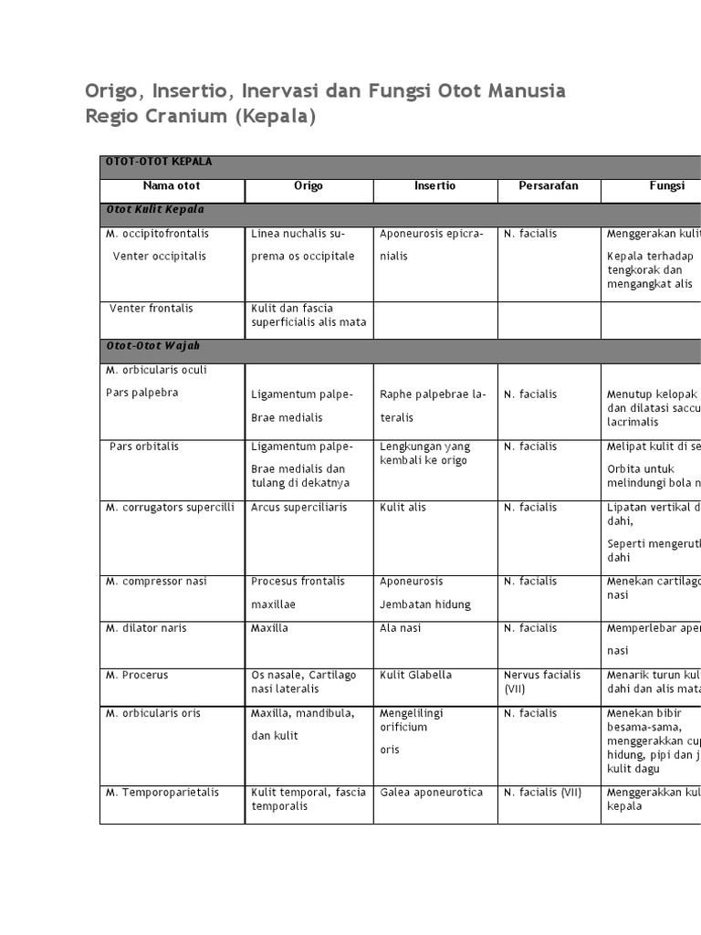 Otot Manusia: Origo, Insertio, dan Fungsi | PDF | Musculoskeletal ...