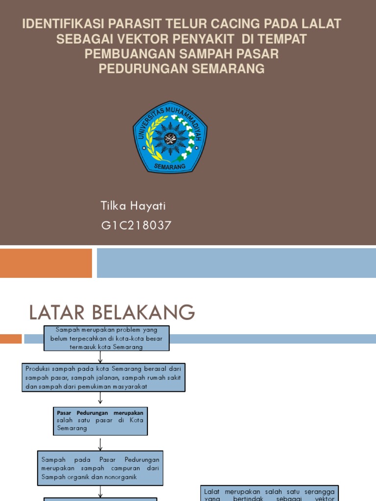 Identifikasi Parasit Telur Cacing Pada Lalat | PDF