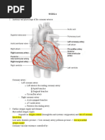 MODULE 20 HANDOUTS Cardiovascular System | PDF | Heart | Heart Valve