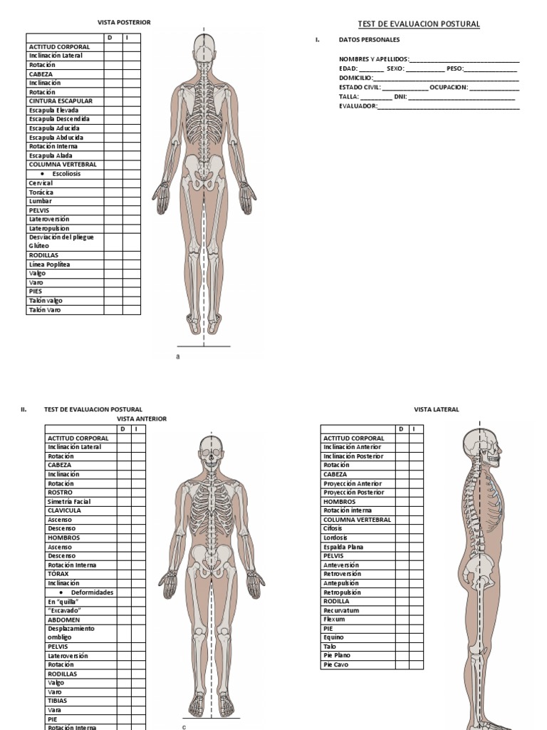 Test Postura | PDF | La columna vertebral | Rodilla