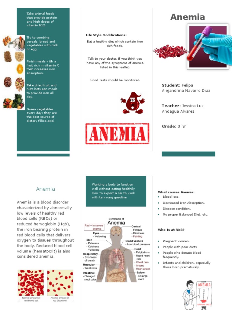 Anemia: Life Style Modifications | PDF | Anemia | Hemoglobin