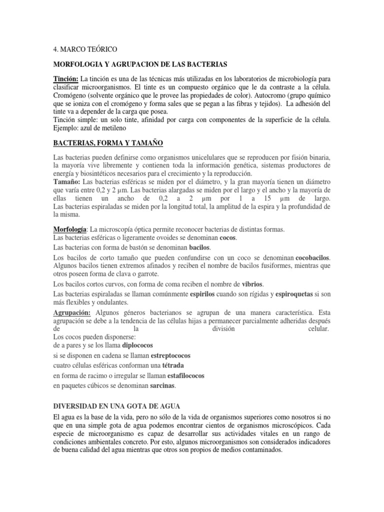 Practica 1 | PDF | Las bacterias | Algas