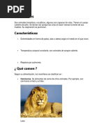 Mapa Conceptual Bello de Las Aves | PDF