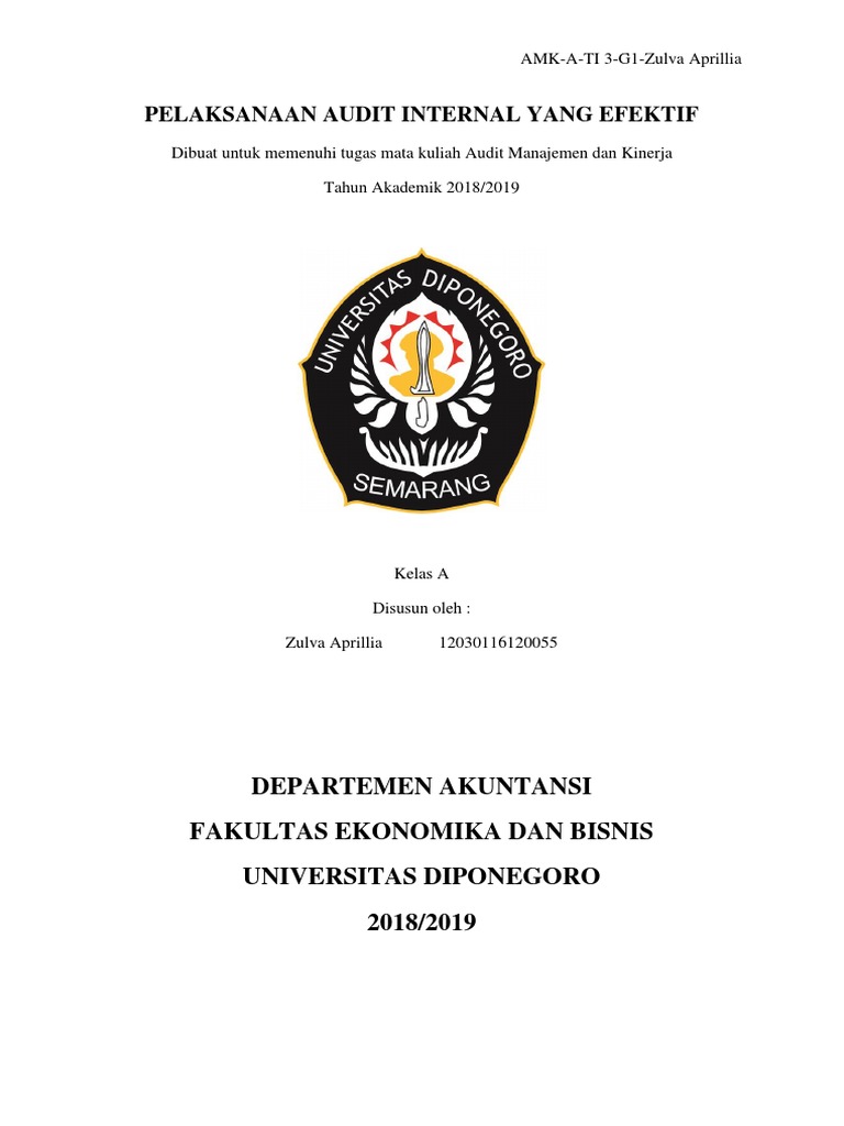 Brinks Internal Audit CH 8, 9 | PDF