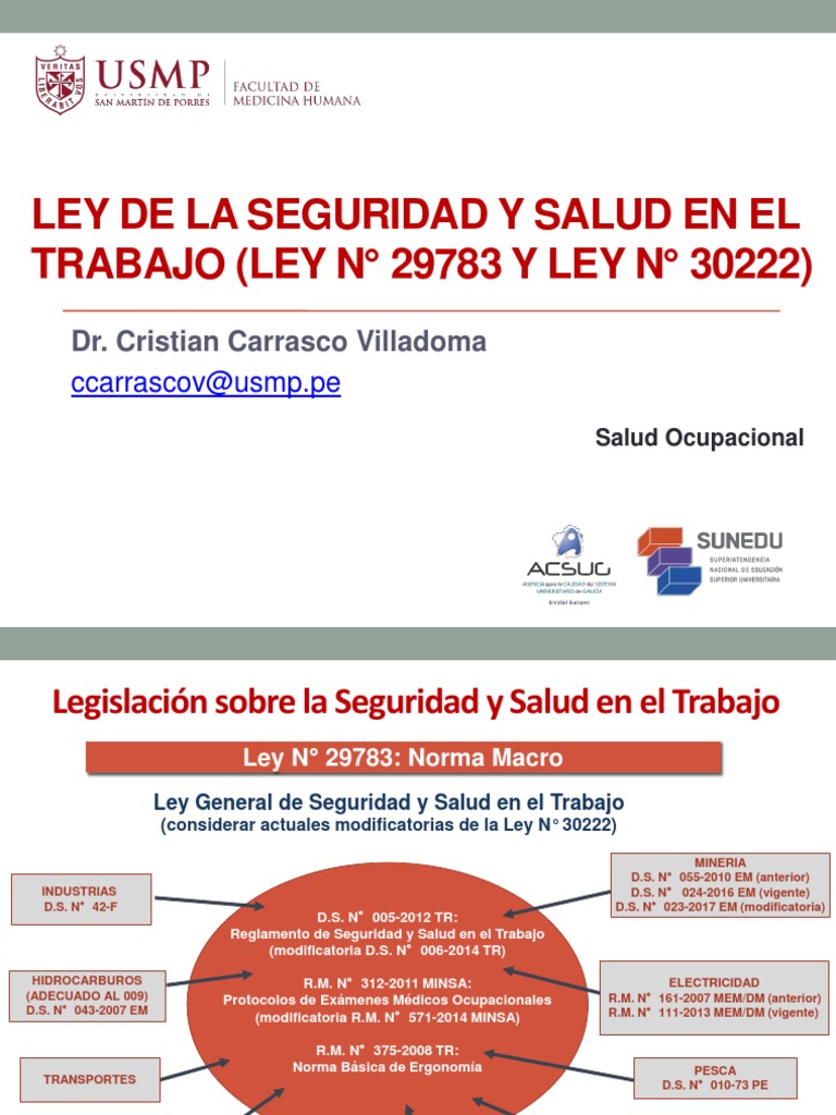 Ley 29783 Seguridad y Salud en El Trabajo | PDF | Castigos | Seguro