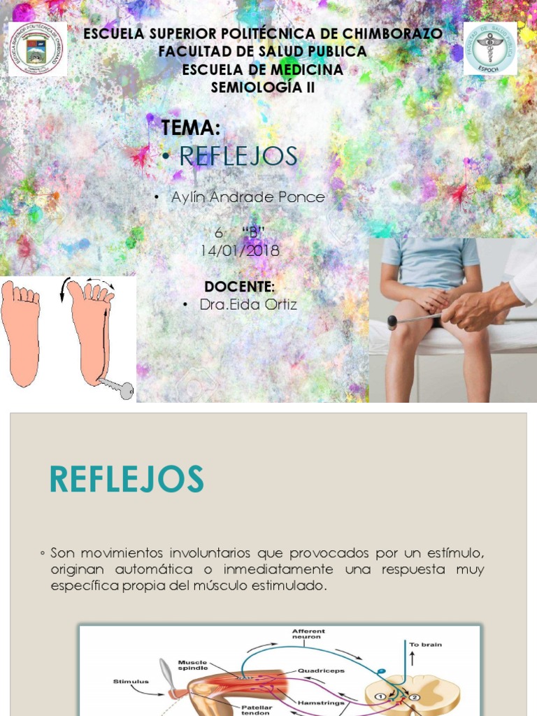 Reflejos osteotendinosos y cutáneos | PDF | Abdomen | Pie