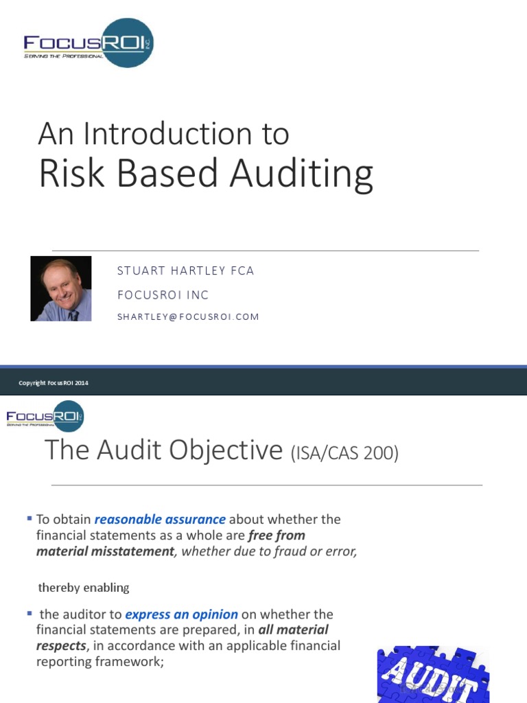 Introduction To Risk Based Auditing | PDF | Auditor's Report | Audit