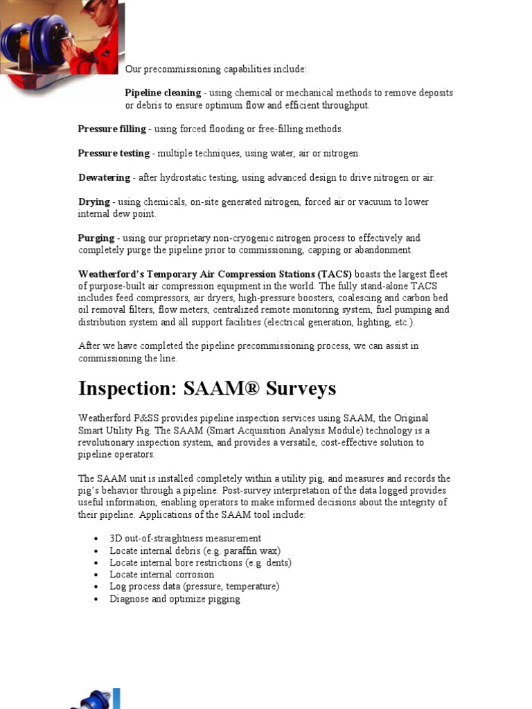 Inspection: SAAM® Surveys | PDF | Applied And Interdisciplinary Physics ...