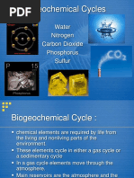 Biogeochemical Cycles Answer Key | PDF | Science & Mathematics ...