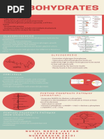 Biochemistry Unit Conversion | PDF | Magnesium | Carbon Dioxide
