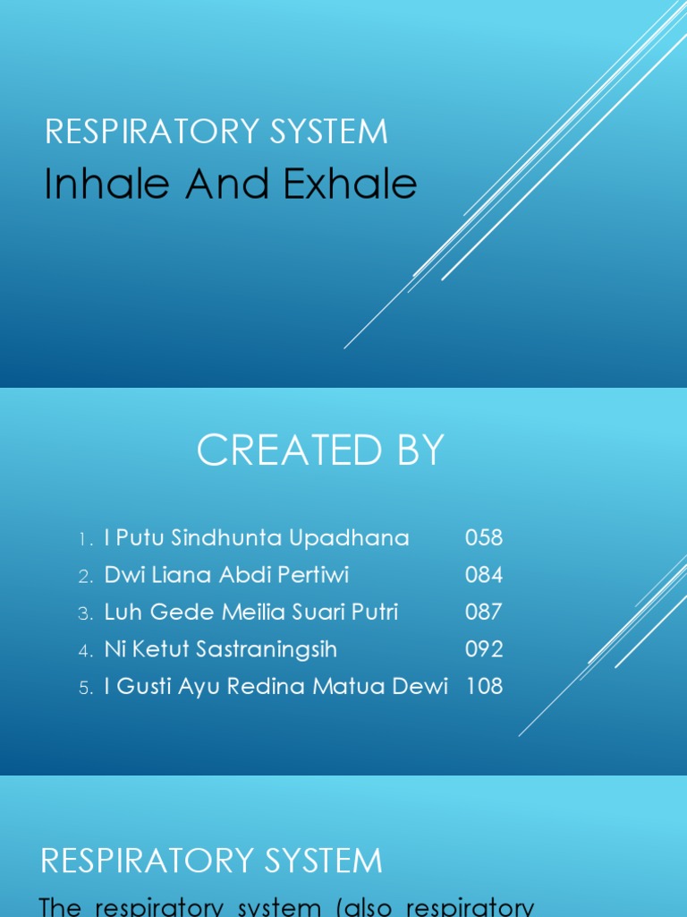 Respiratory System: Inhale and Exhale | PDF | Self-Improvement | Wellness