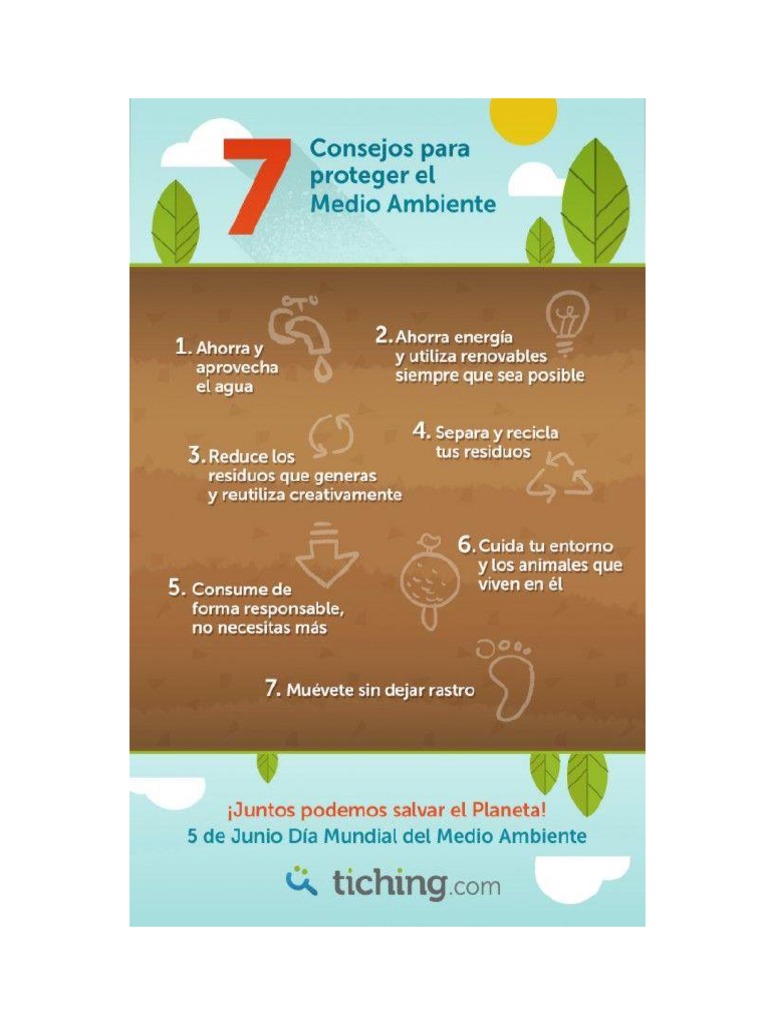 Level 1 El Medio Ambiente HW Choice Board Infographic | PDF