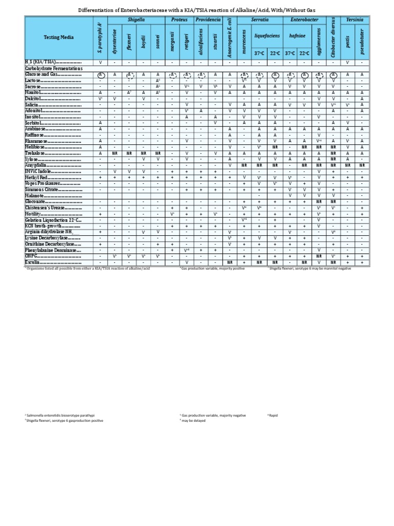 Tabel Uji Biokimia-Landscape | PDF | Gram Negative Bacteria | Prokaryote