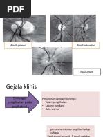 PPK Optic Atrophy | PDF | Pengembangan Diri | Sains & Matematika