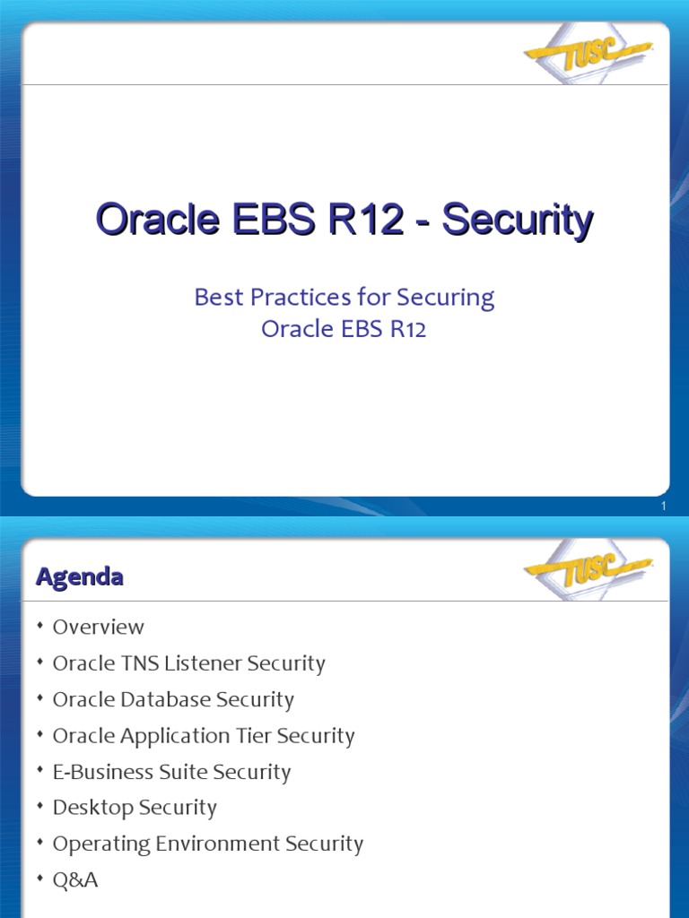 Oracle EBS R12 - Security | PDF | Oracle Database | Databases