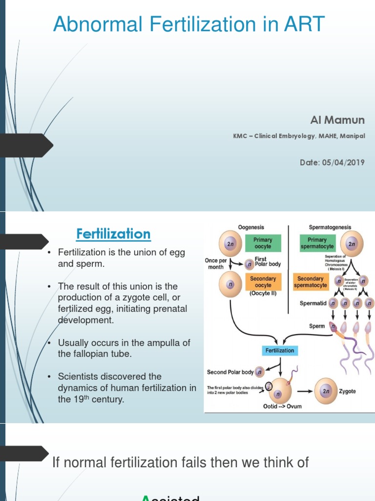 Abnormal Fertilization in ART | PDF | Fertilisation | In Vitro ...