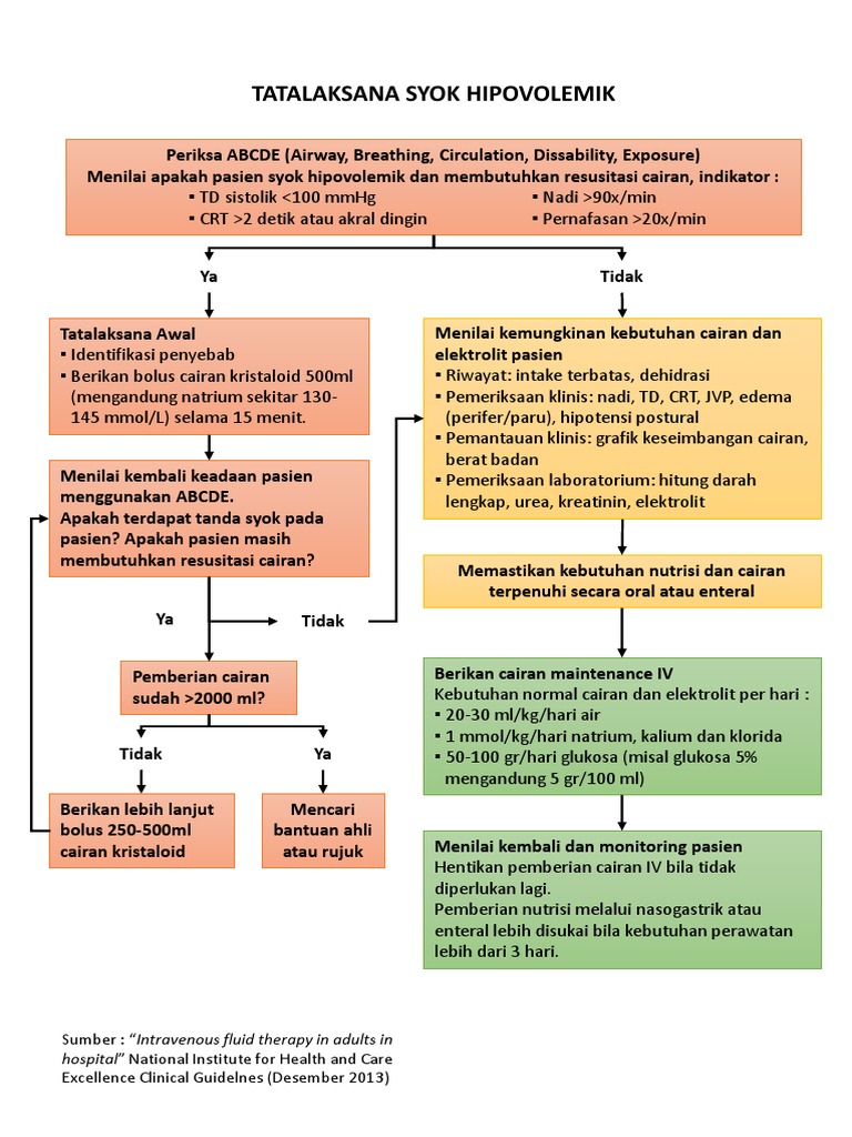 Algoritma Syok Hipovolemik & Anafilaktik | PDF
