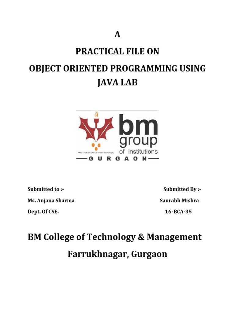 A Practical File On Object Oriented Programming Using Java Lab | PDF ...
