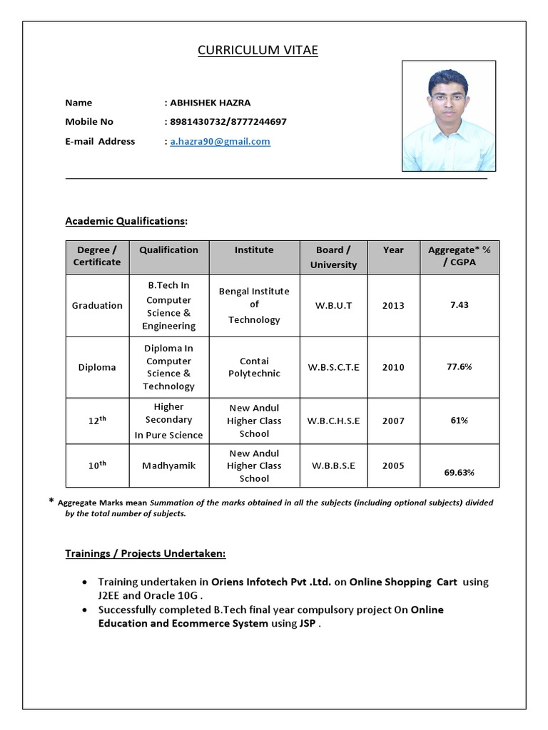 CV Summary for Software Engineer | PDF | Computing | Behavior Modification