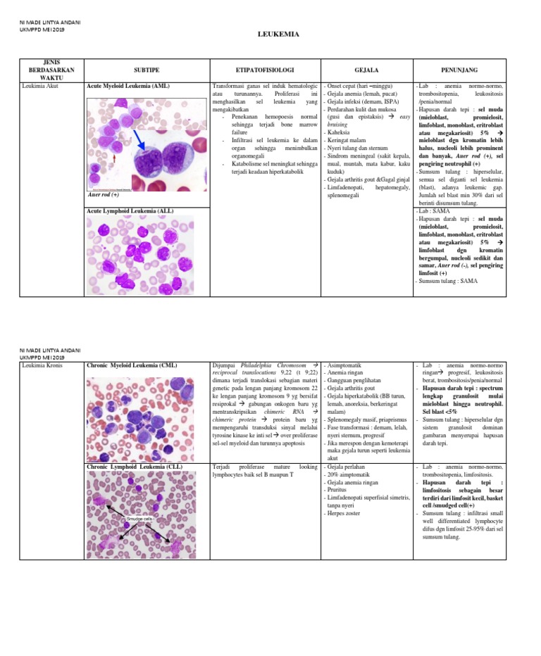 Ciri-Ciri dan Jenis Leukemia Akut | PDF