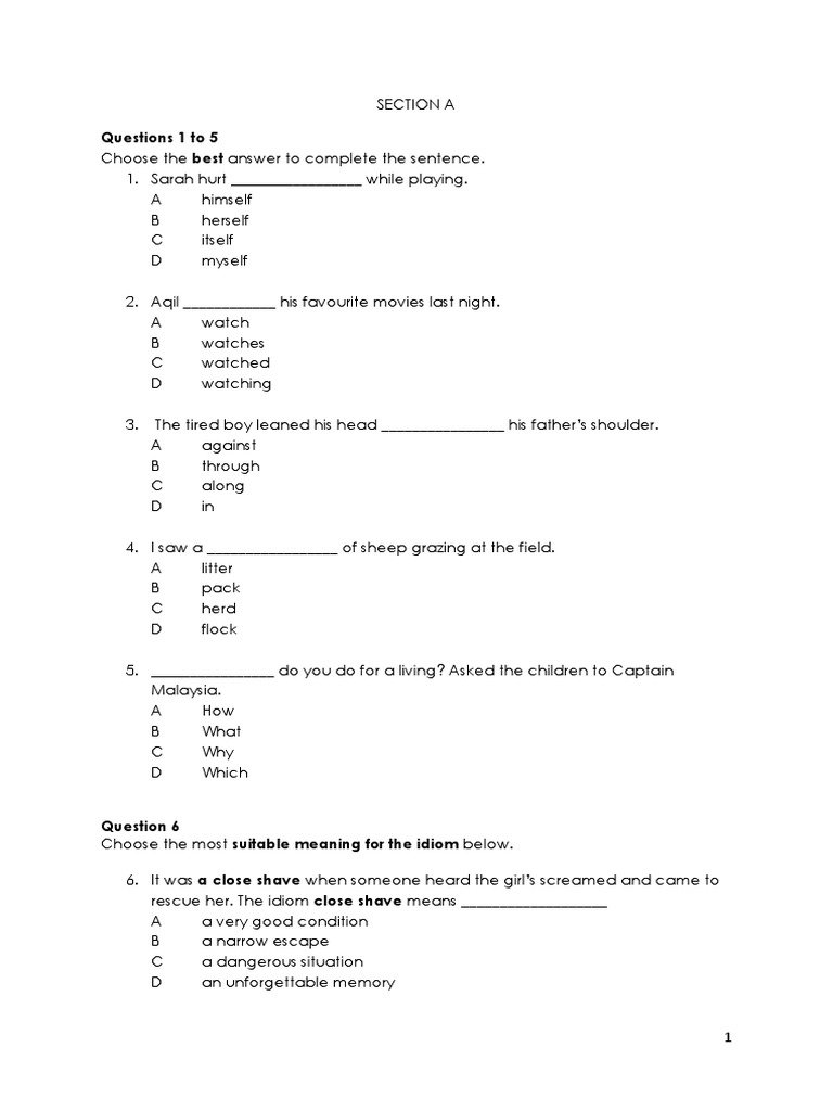 Year 5 English Comprehension Practice | PDF
