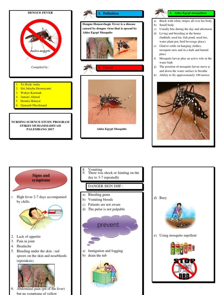 Leaflat Dengue Fever Group 1 | PDF | Mosquito | Microbiology
