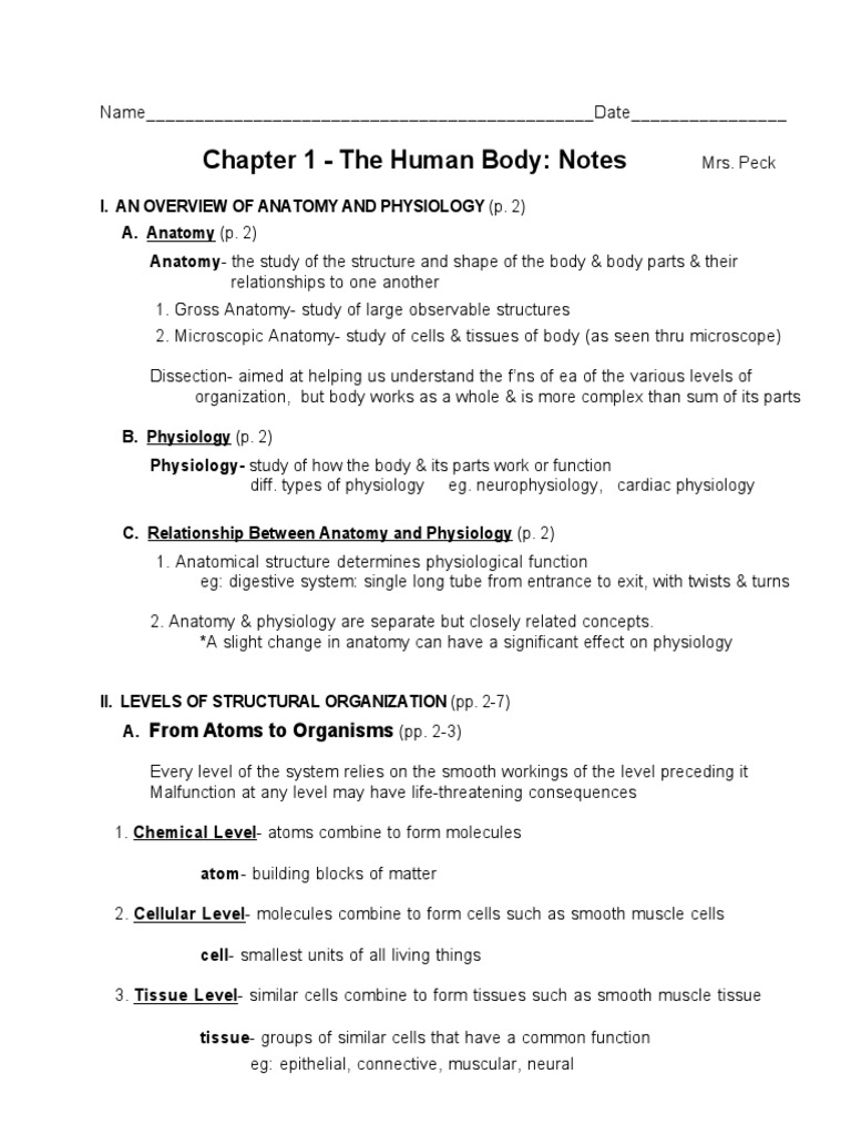 Chapter 1 - The Human Body: Notes: From Atoms To Organisms | PDF ...