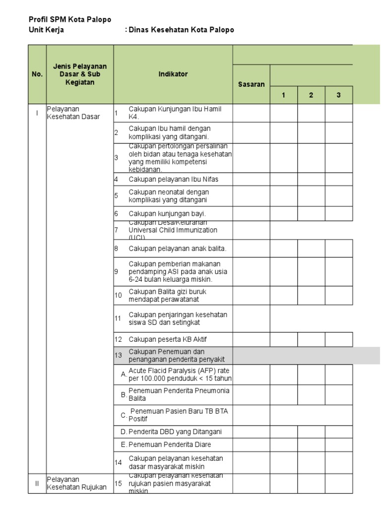 Laporan SPM Kesehatan Kota Palopo 2017 | PDF