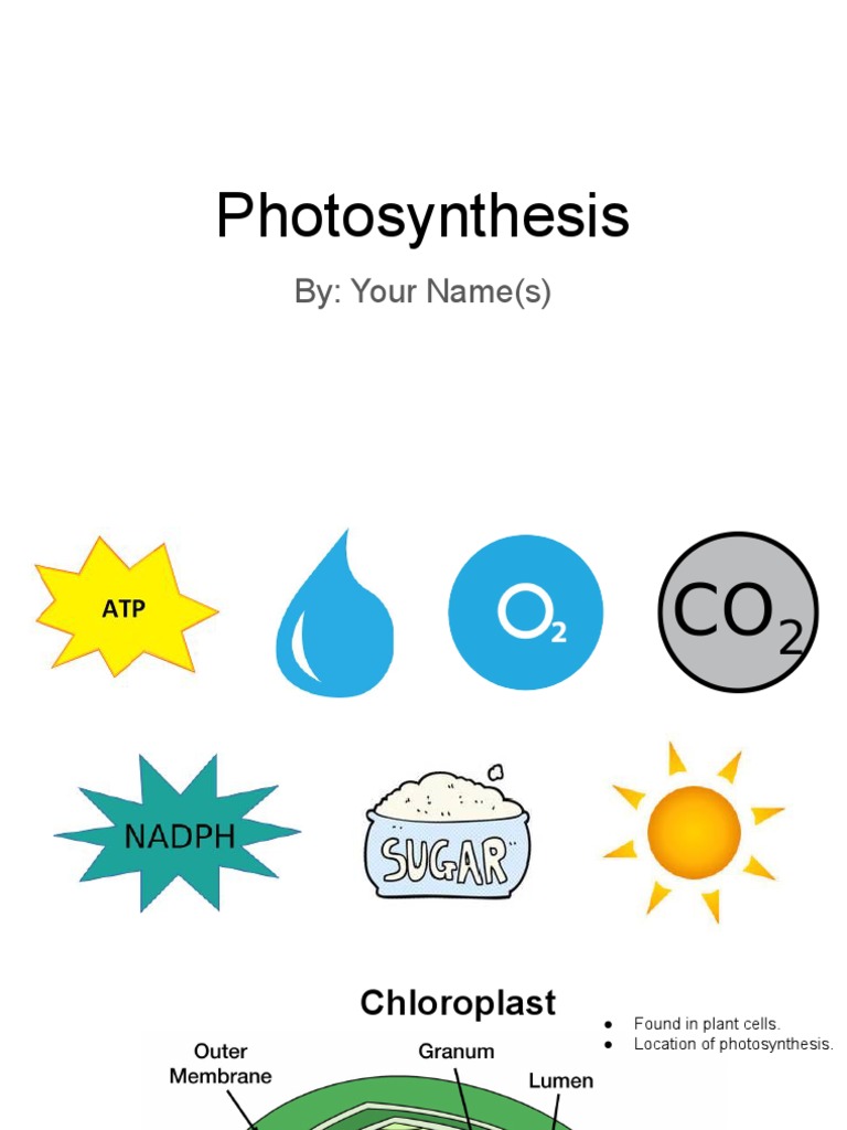 Photosynthesis Slide Deck Template | PDF