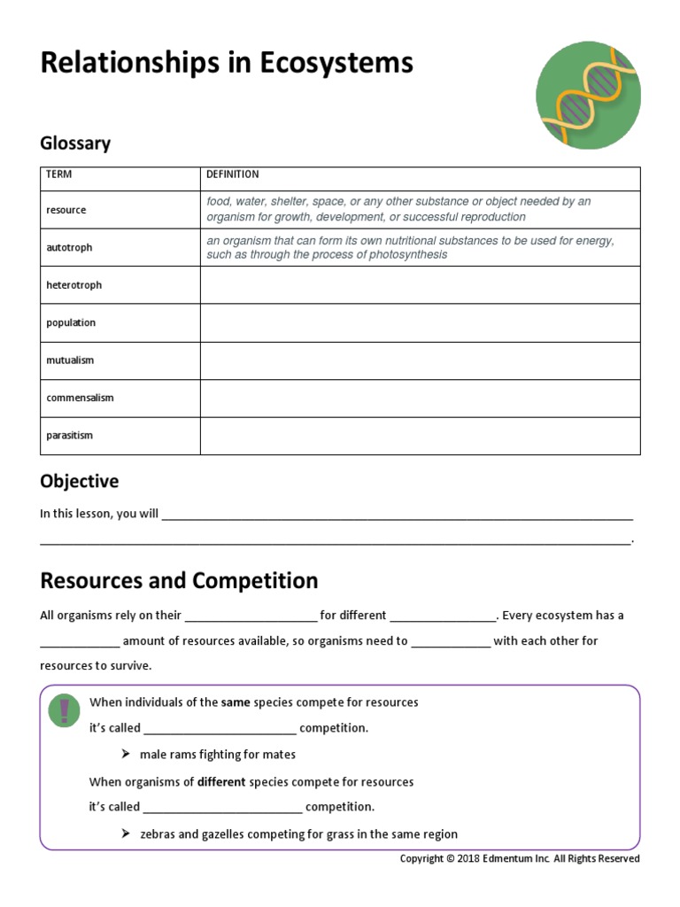 Guided Notes - Relationships in Ecosystems 1 | PDF | Food Web | Parasitism