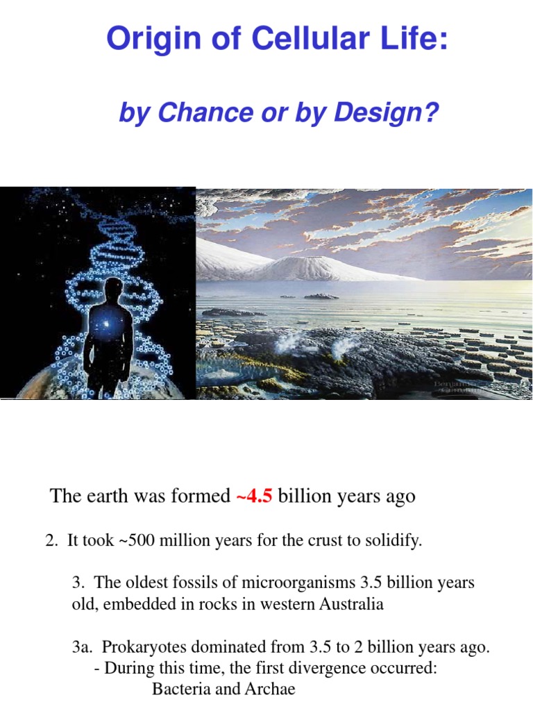 Origin of Life | PDF | Rna | Abiogenesis