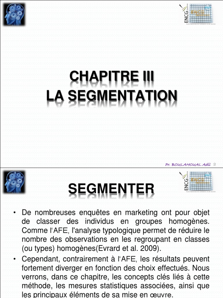 CHAPITRE III (Segmentation) | PDF | Segmentation (marketing) | Analyse ...