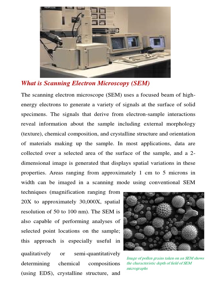 What Is Scanning Electron Micros Pdf Scanning Electron Microscope