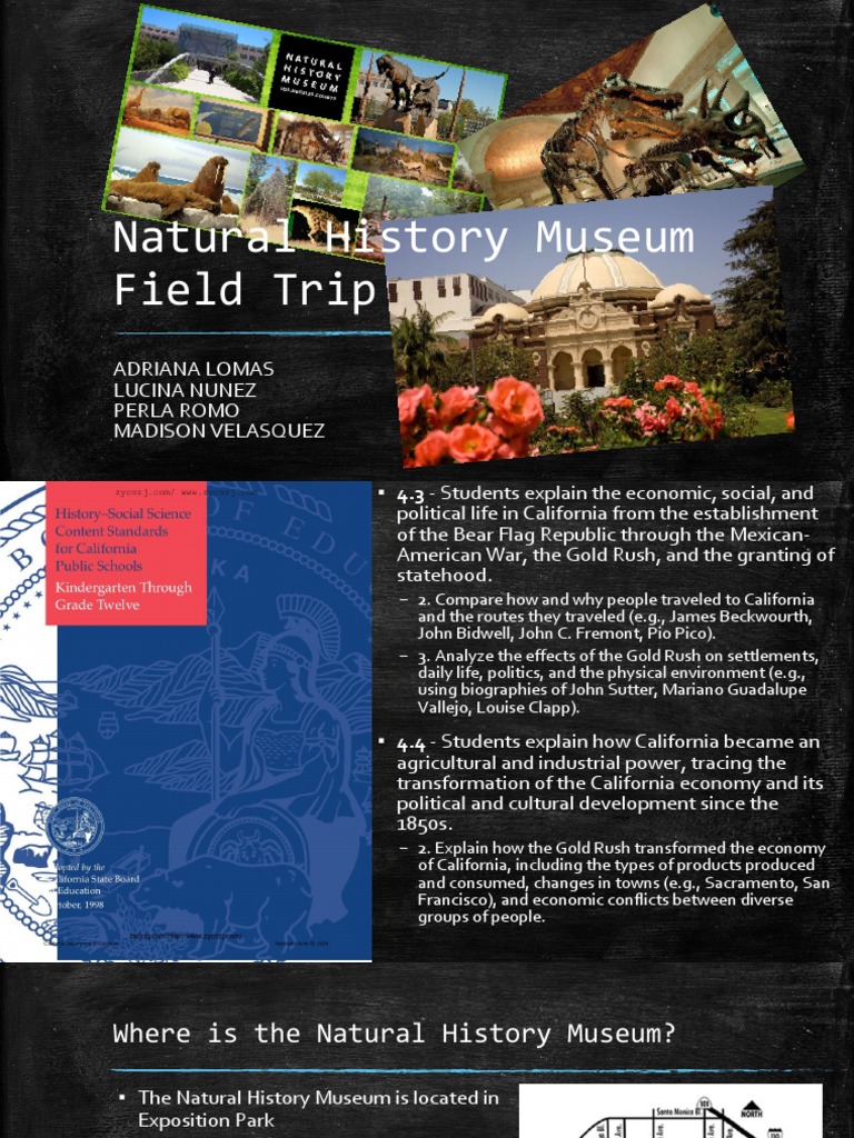 Natural History Museum Field Trip | PDF | California