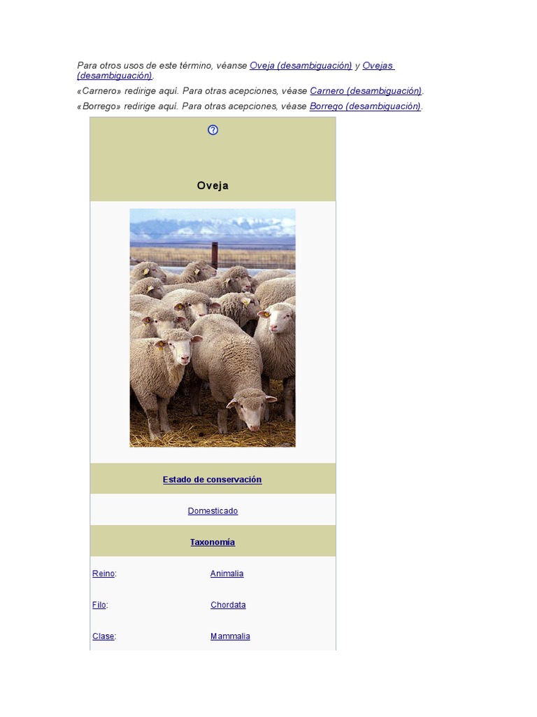 Oveja | PDF | Oveja | Rumiante