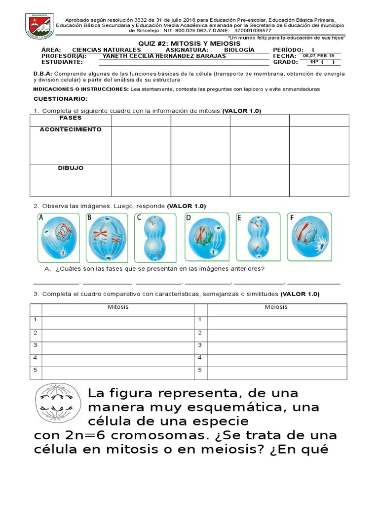 Hoja De Trabajo Sobre Mitosis Y Meiosis Página 3 Plantillas De