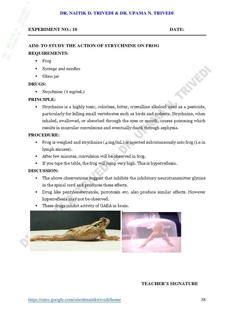 Frog Syringe and Needles Glass Jar: Experiment No.: 10 Date | PDF